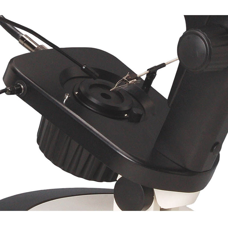 How to Choose a Microscope Gem: Top Buying Tips for Jewelers & Collectors