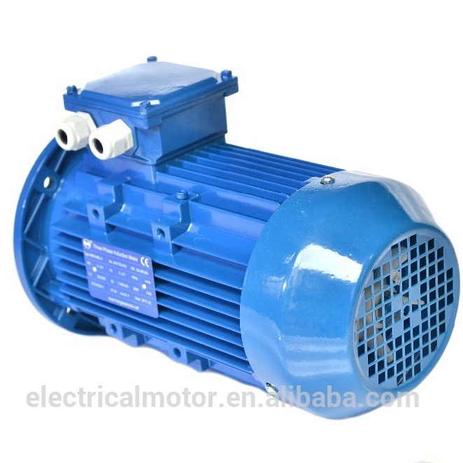Electric Machinery - AC Electric Motors - High Performance