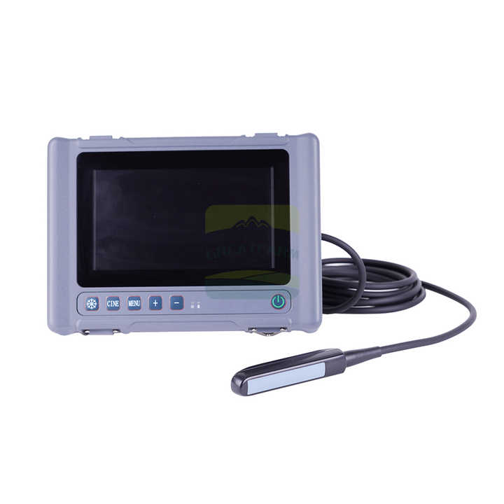 T0909 GREAT FARM T1 Cattle Ultrasound Scanner Spanish Rectal Probe ...