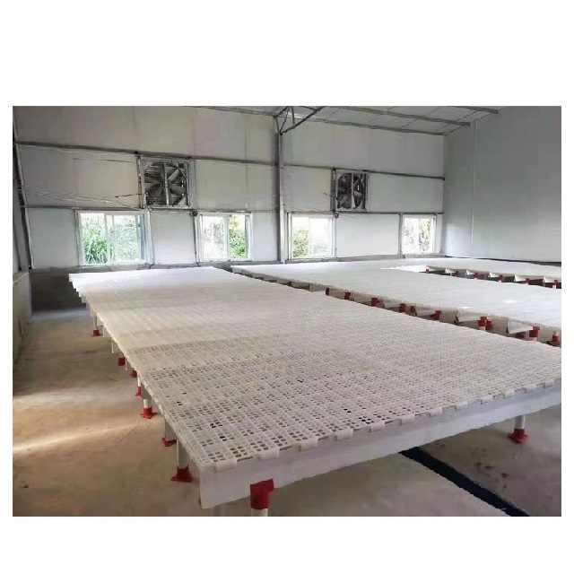 High Quality Plastic Poultry Slat Floor for Broiler Chickens