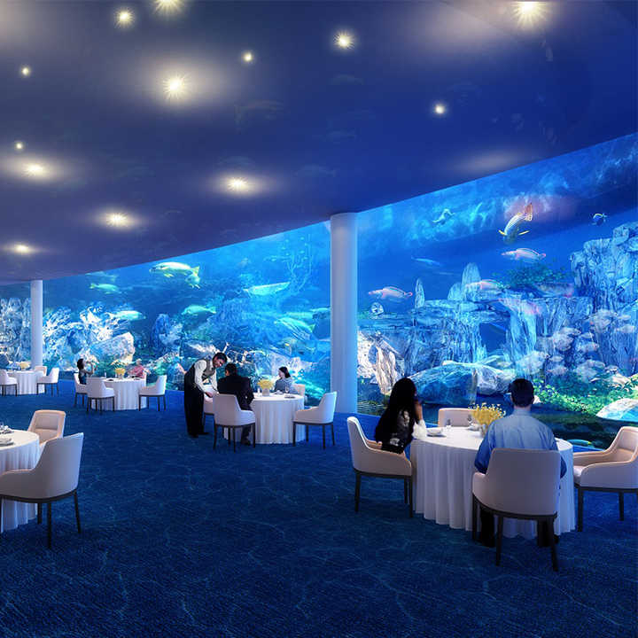 Immersive Space 3D Holographic Display Projector for Events