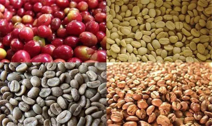 Best Price Coffee Bean Depulper Machine - Automatic & Efficient