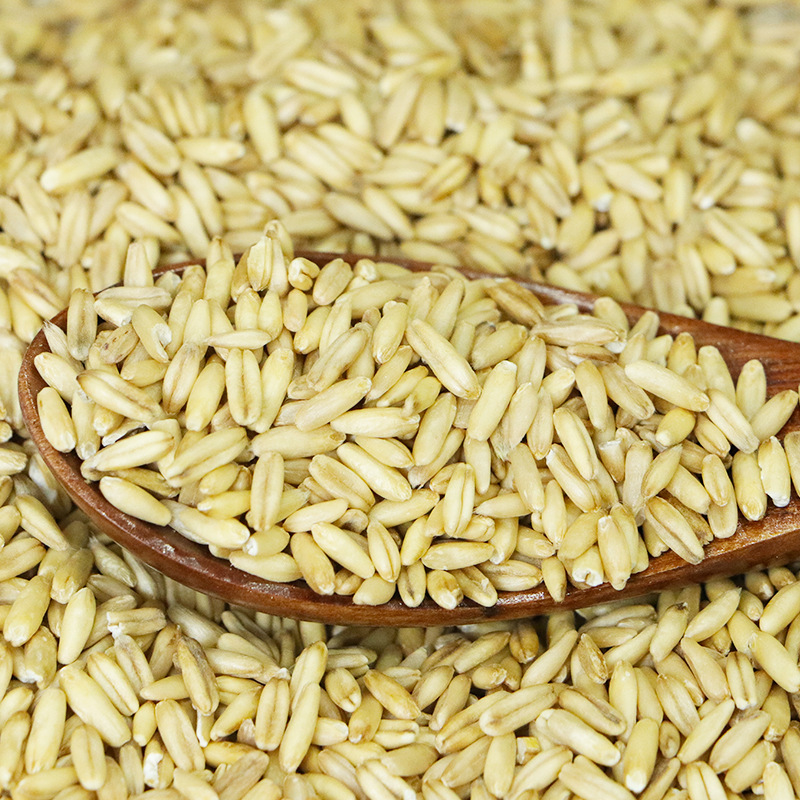 How to Choose High-Quality Oats and Grains: A Complete Buying Guide