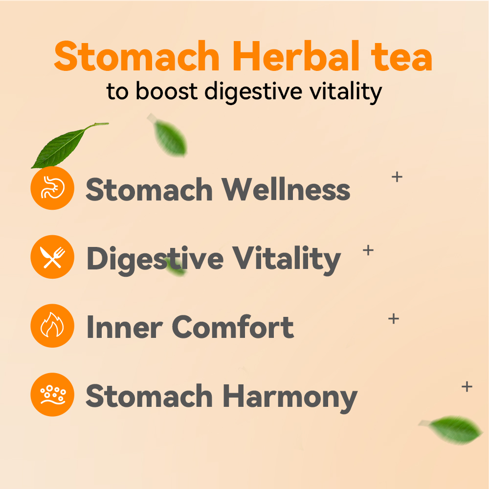 How to Choose the Best Haveltea: A Complete Buying Guide