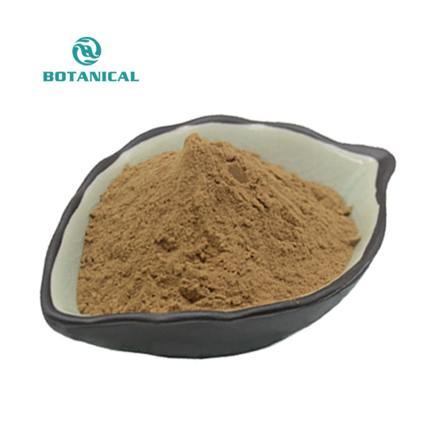 How to Choose the Best Beer Malt Extract for Homebrewing