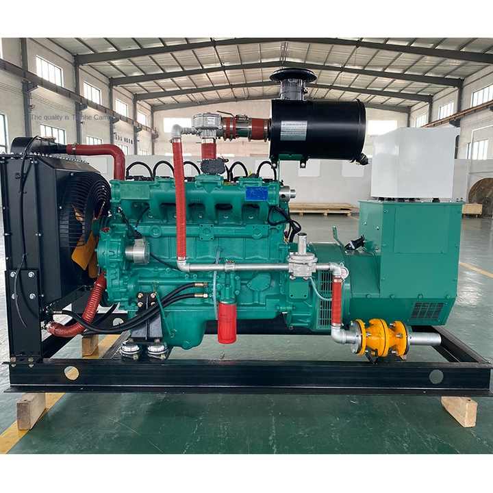 20kw Biogas Fuelled Oilfield Natural Gas Turbine Generators for Pig and ...