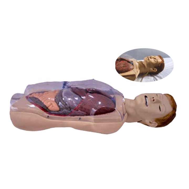 Sengstaken-blakemore NG Tube Nursing Training Simulator