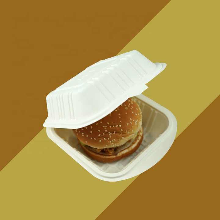 Biodegradable 6 Inch Burger Box - Eco Friendly Packaging