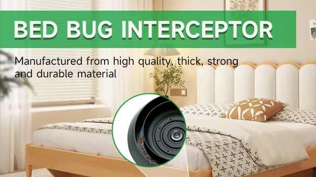 Professional Bed Bug Detector Trap Pest Control Product For Eliminating 9957