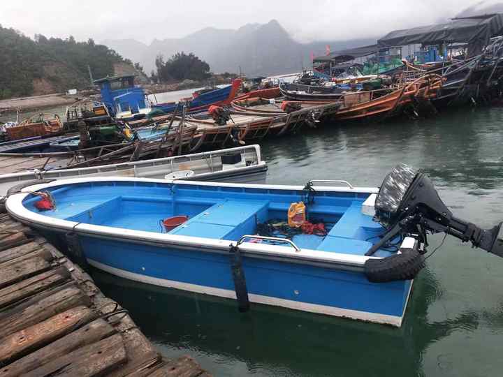 530 Sea Fishing Boat Panga Awning Outboard Engine 60HP