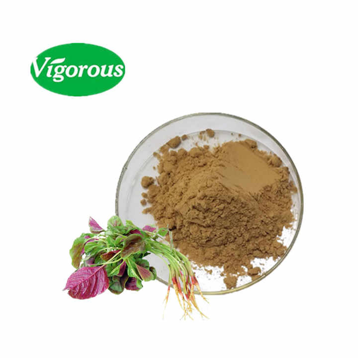 Free Sample Amaranthus Leaf Extract Haccp 10:1 Organic Amaranth Extract ...