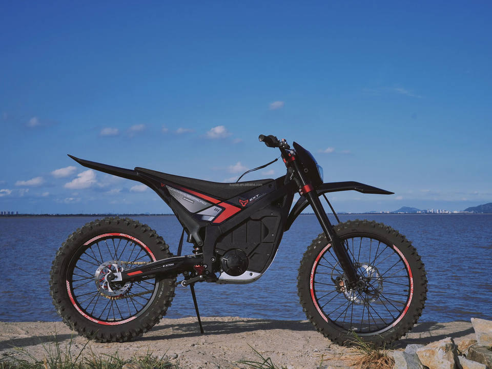 Arctic Leopard Snow Leopard E-X800 25KW Electric Dirt Bike - High ...
