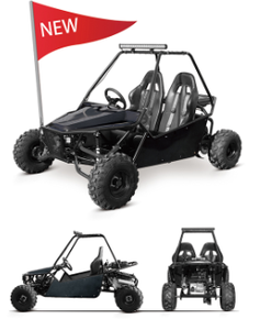 High Performance Beach Buggies - Fun & Thrill!