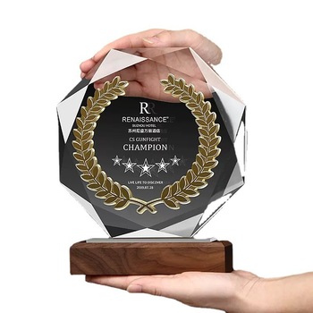 MH-NJ00729 Custom Engraved Crystal Trophy Plaque