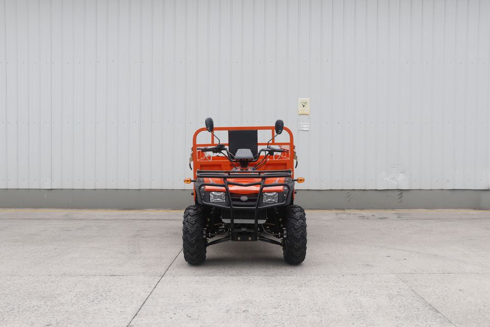 Electric 4x4 Farm Big Quad Bike 250cc 300cc off-Road Motorcycle