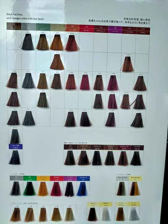 JM Hair Color Chart - 133 Swatch & Cover Professional Shades