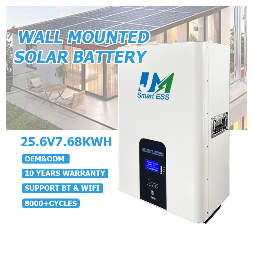 JM Customization LFP Home Energy Storage 24V Lifepo4 Battery Pack ...