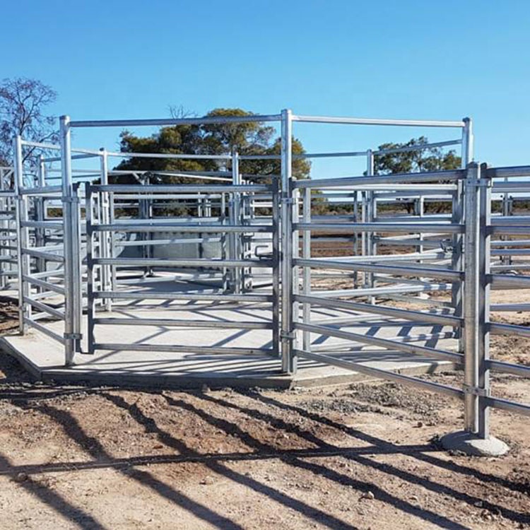 Order Online Galvanized Steel Tube Gates Eco-Friendly & High-Quality ...