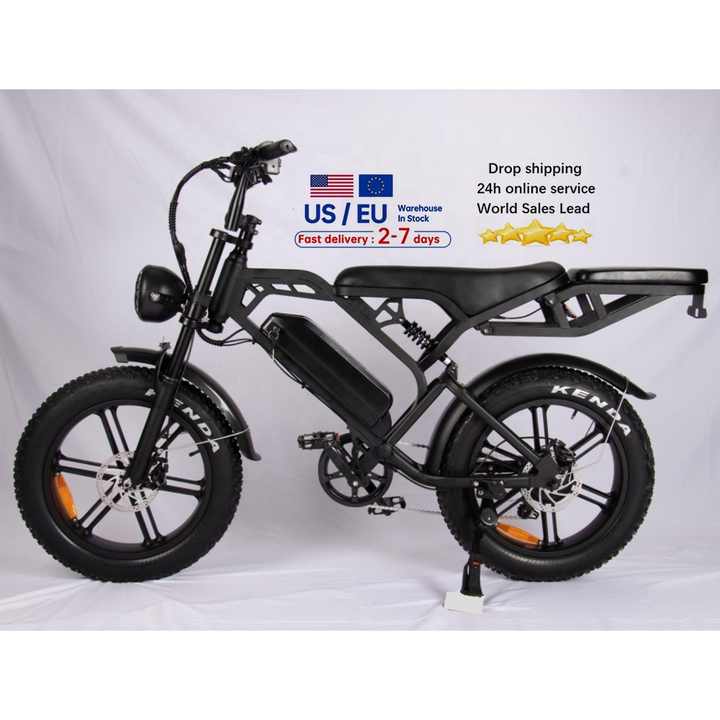 APP Control Electric Fatbike X80Pro - 250W E-Bike with Fast Location ...