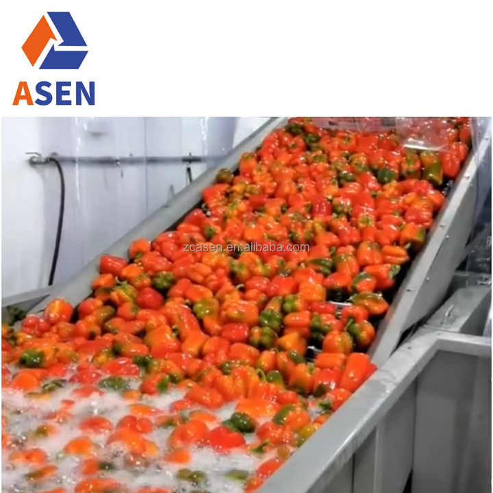 Fruit Washing Machine With Ozone House Vegetable Washer Conveyor Belt ...