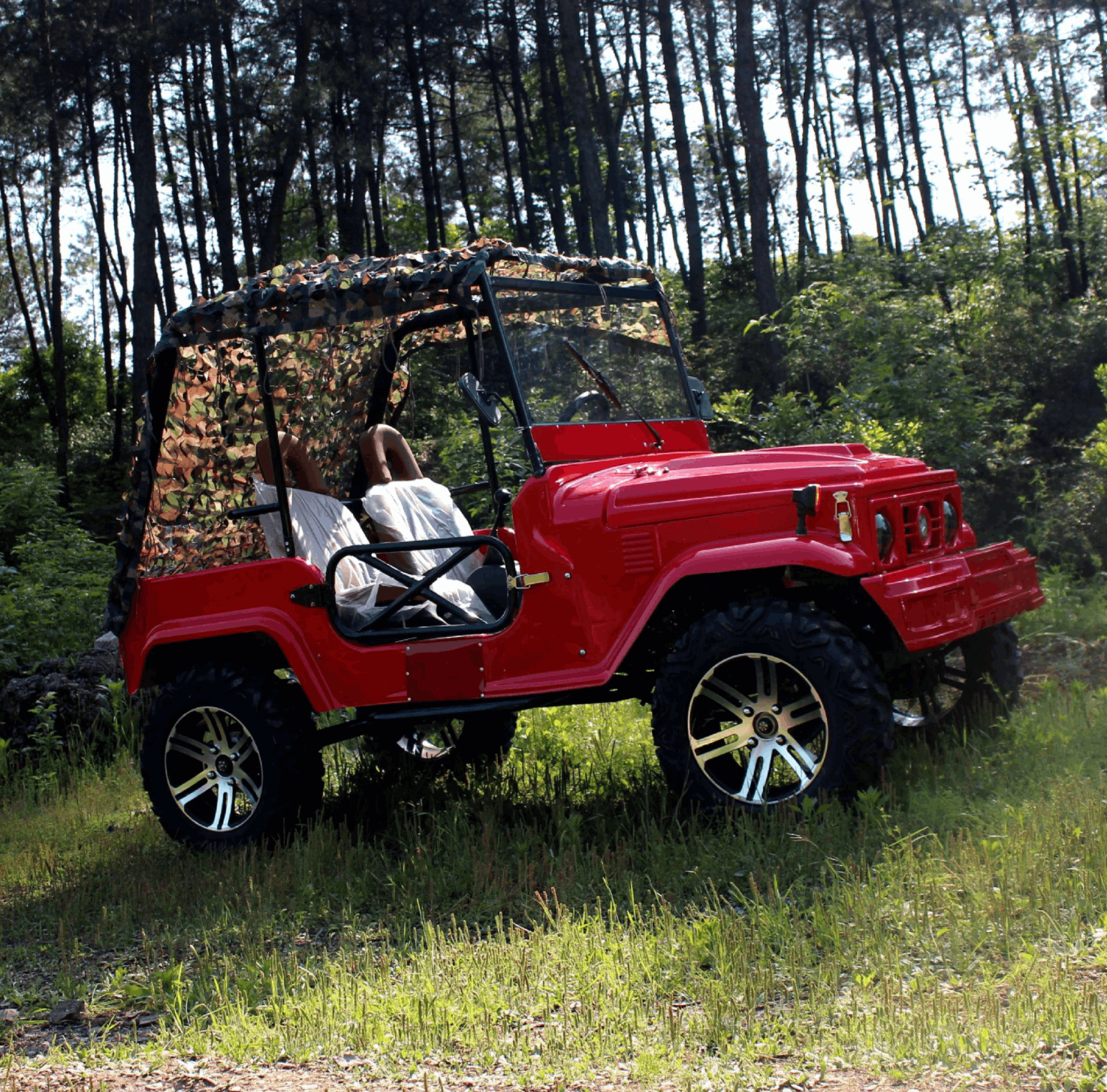 How to Choose the Best Mini Jeep 300cc: A Complete Buying Guide