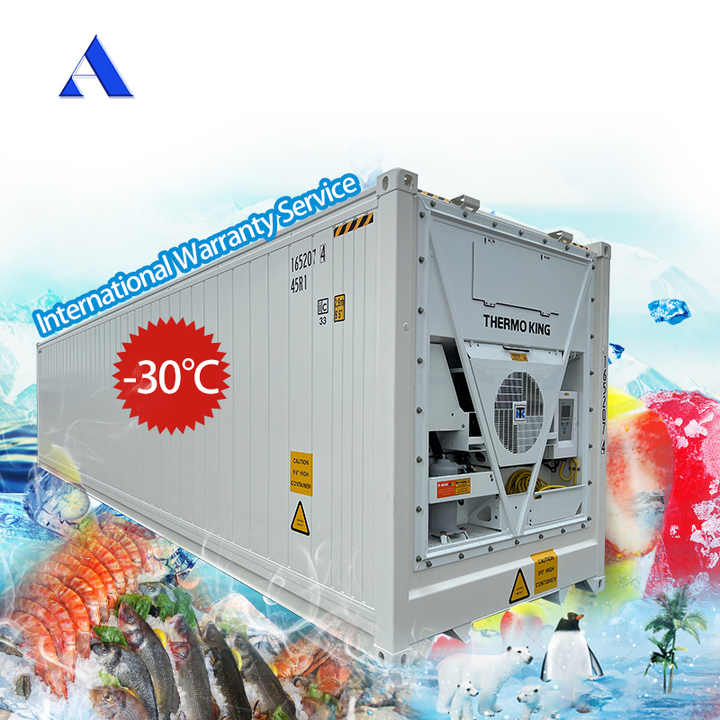 NEW Thermo King 40ft Refrigerated Reefer High Cube Container 40 Feet Length Freezer with Corten ...