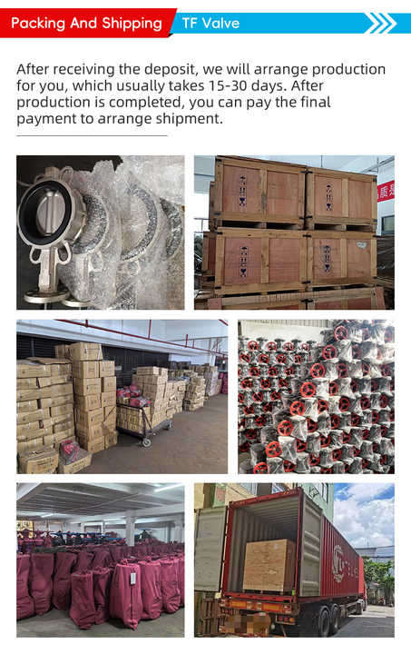 TF D371F-16Q Turbine Wafer Butterfly Valve PTFE Seal Manual Adjustment High Temperature ...