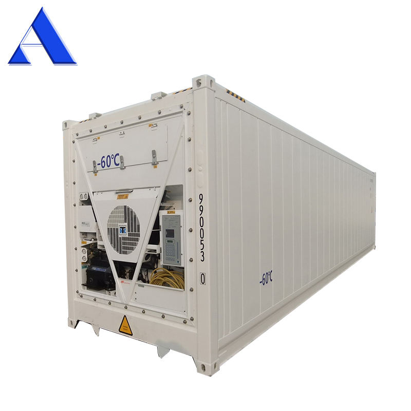 Minus 60 Degree Fresh Tuna Storage - Thermo King 40ft Reefer