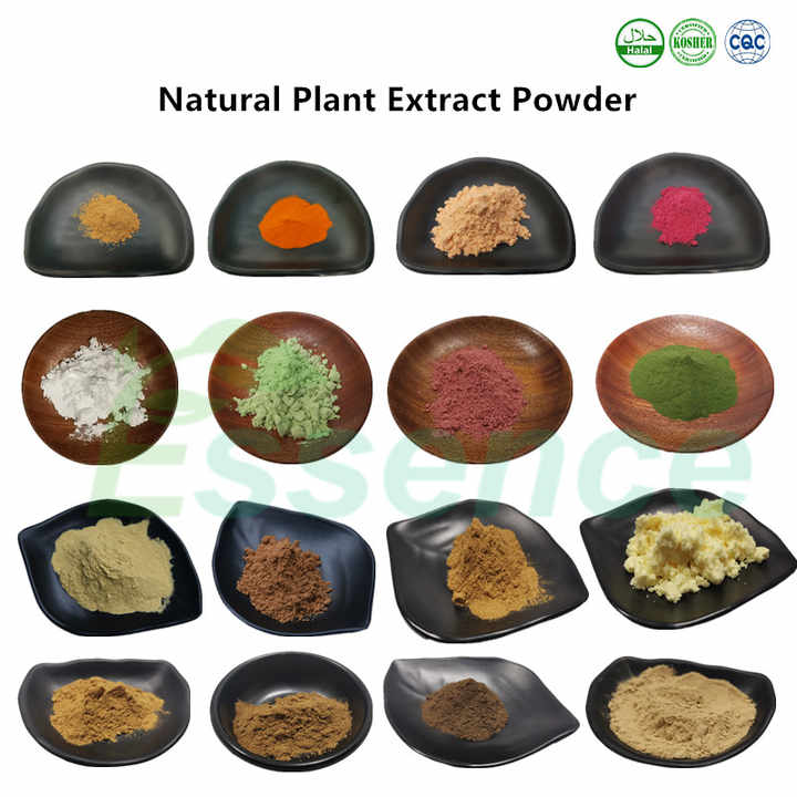 Natural Plant Extract Polygonum Cuspidatum Extract Powder 10:1| Alibaba.com