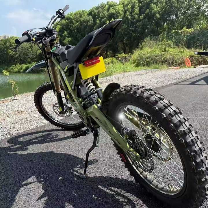 Light Bee X 8000W 60V 40AH 75KMH Electric Mini Off-Road Dirt Bike 2025 ...