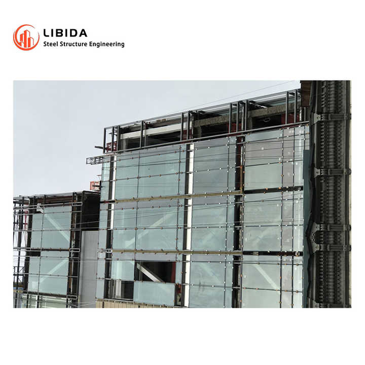 Libida Aluminum Back Pan Curtain Wall - Durable & Stylish