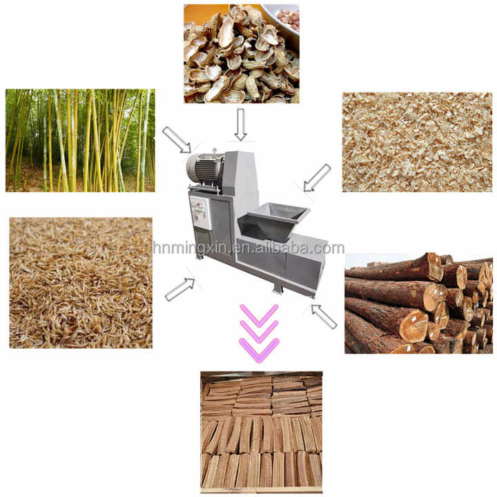Japan Bagasse Biomass Fuel Briquette Making Machine