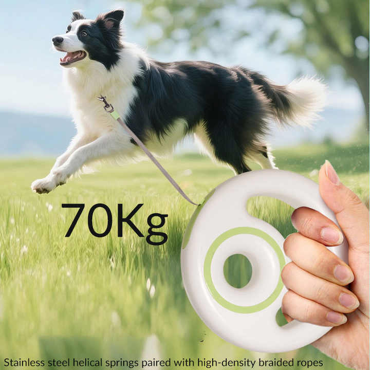 Hands Free Dog Leash Portable Pet Automatic Retractable Dog Leash Rope ...