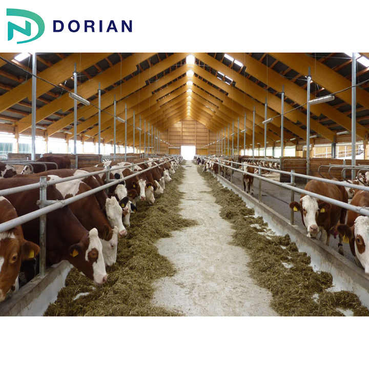 Beef Cattle Housing