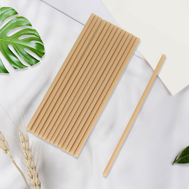 How to Choose the Best Straw for Your Needs: A Complete Buying Guide
