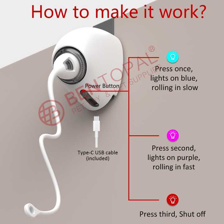 Interactive Cat Toy - Automatic Door Hanger with String