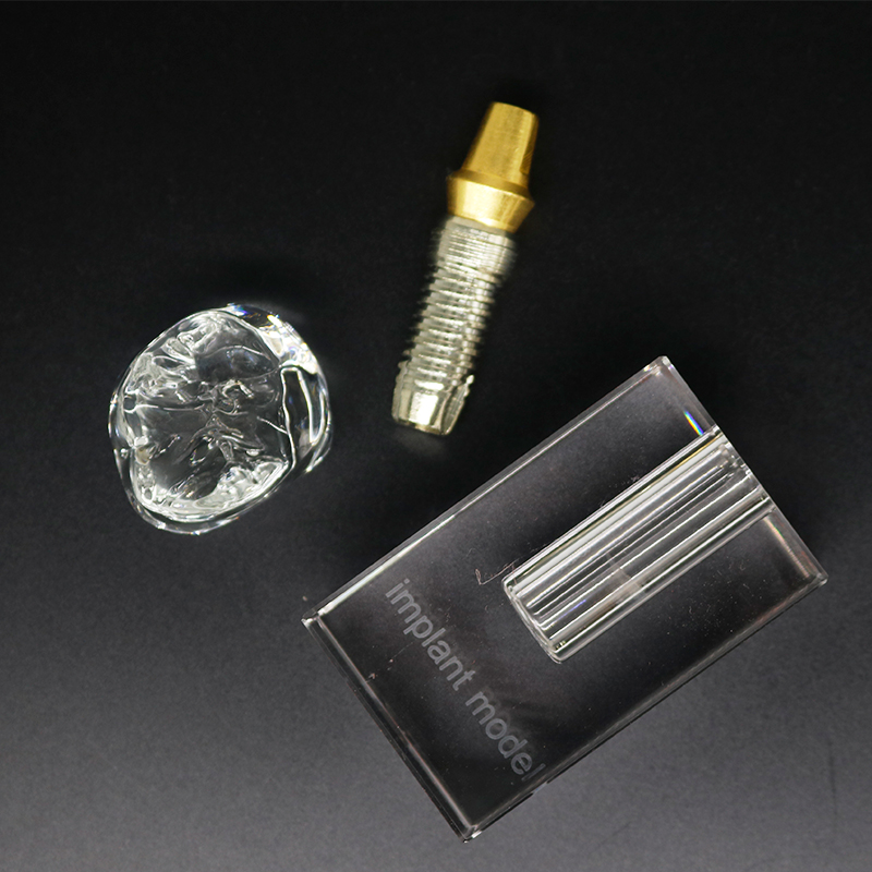 3x Size Dentistry Teeth Adult Model Detachable Dental Crystal Implant ...