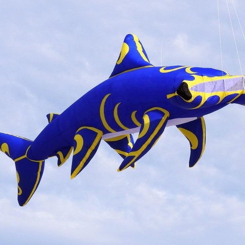 Giant Flying Inflatable Dragon Kite from Chinese Factory