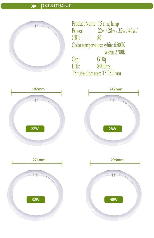T5 Circular Fluorescent Lamps - Efficient & Durable
