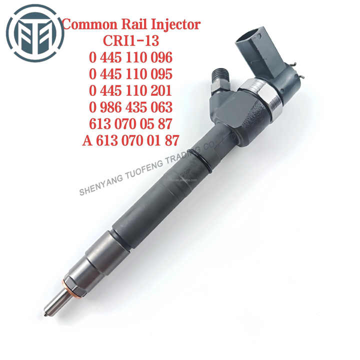 Common Rail Injector 0445110096 0445110095 0445110201 0986435063 ...
