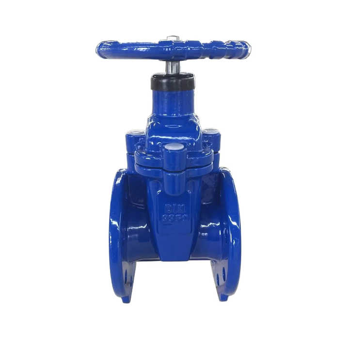 WCB Wedged Gate Valve GB Flange Gate Valve Z41H-25C DN80