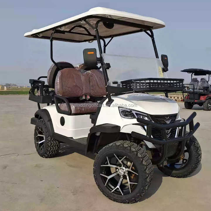 Cheapest Offroad Golf Cart with Trailer License Vehicles