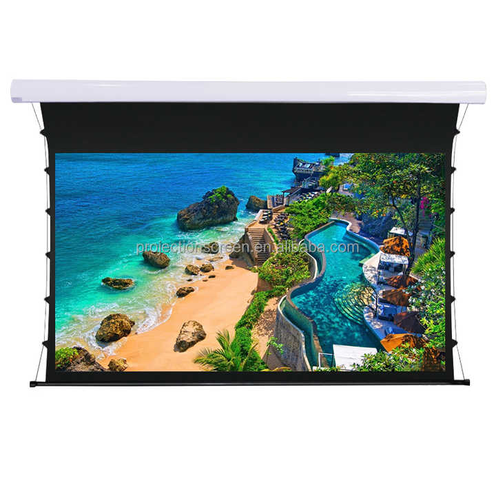 Future 110 Inch Motorized Projection Screen Alr Black Grid In Ceiling ...