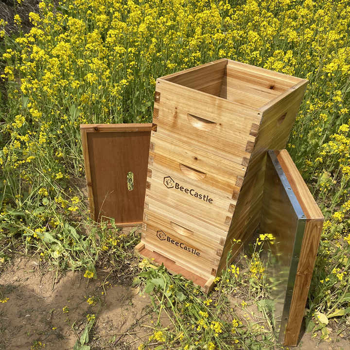 2024 Typical Langstroth Wooden Beehive Honey Box Bee Hive| Alibaba.com