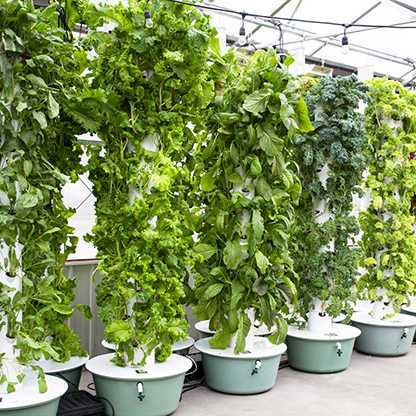 Vertical Hydroponics - Efficient Rotating Garden System