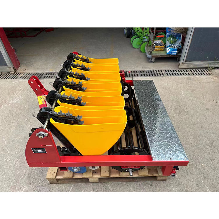 How to Choose the Best Seder Planter Garlic for Your Needs