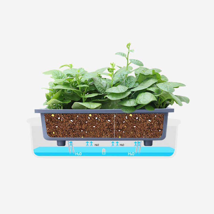 Three-Dimensional Water Storage Plant Box Multi-Layer Plant Basin ...