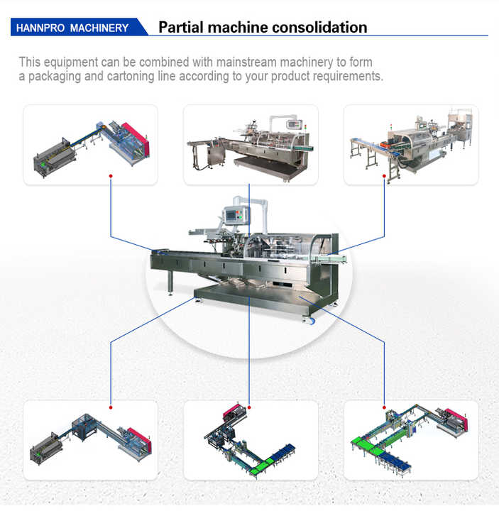 HANNPRO Automatic Case Packer Carton Box Packing Machine| Alibaba.com