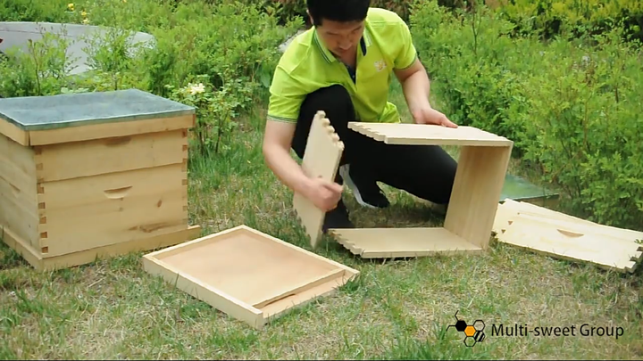 Hot Selling Bee Hive Body Co - Langstroth 10 Frame Boxes