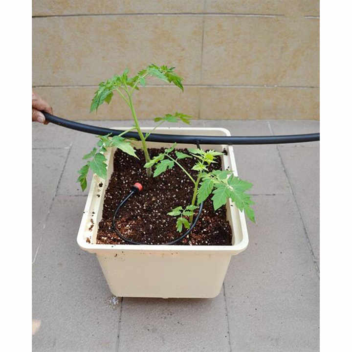 Wholesale Hydroponic Tomato Dutch Buckets - High Yield